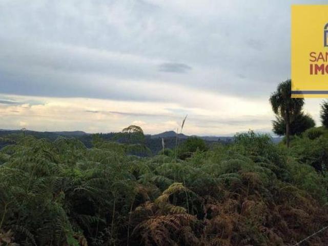 Chácara à venda, 20000 m² por R$ 650.000,00 Zona Rural Campo Largo/PR