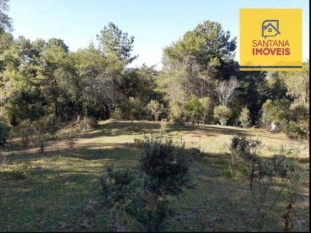 Chácara à venda, 20000 m² por R$ 720.000 Jardim Florestal Campo Largo/PR