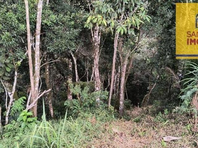 Chácara à venda, 20000 m² por R$ 350.000,00 Zona Rural Campo Largo/PR