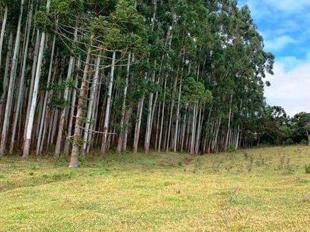 Chácara à venda 20000M², Aparição, Cunha SP
