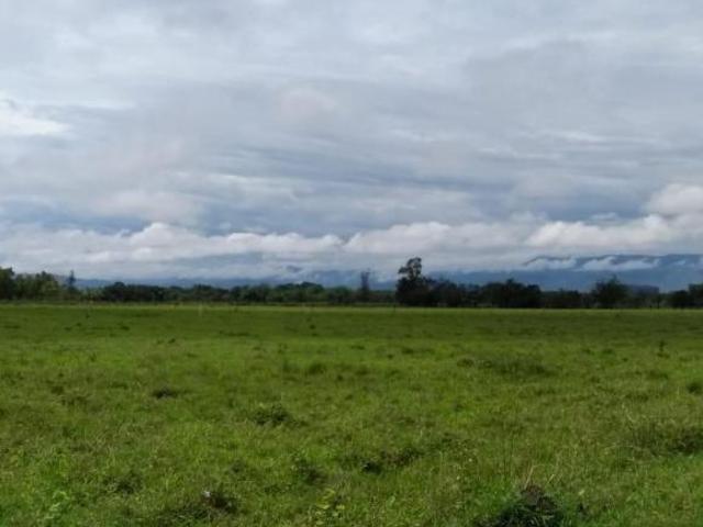 Chácara à venda 20000M², Cruz Pequena, Pindamonhangaba SP