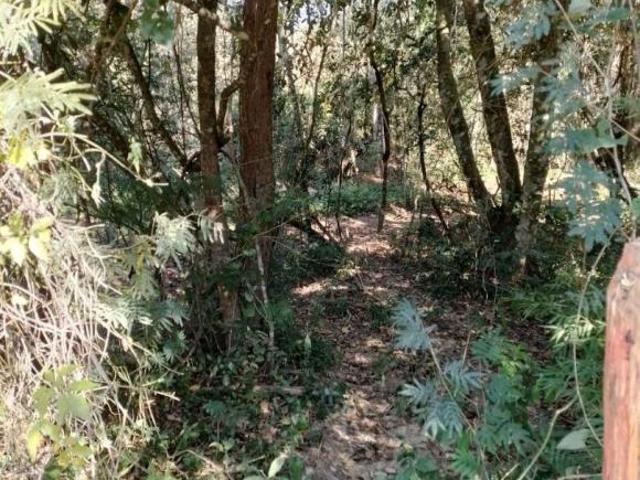 Chácara à venda, 2300 m² por R$ 330.000 Araçoiaba da Serra