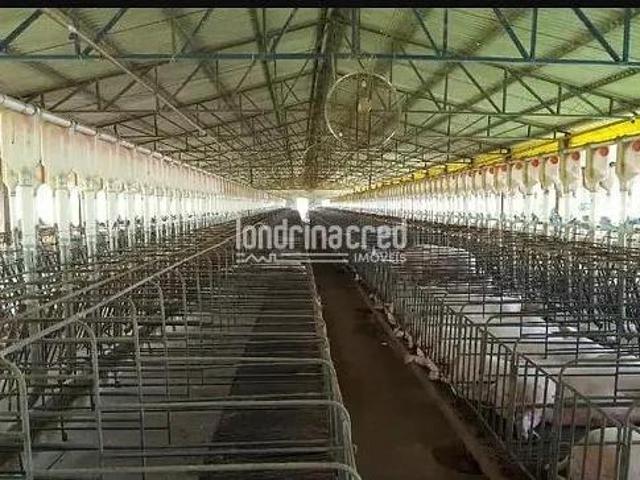 Chácara à venda 242000M², Zona Rural, Ouro Verde do Oeste PR