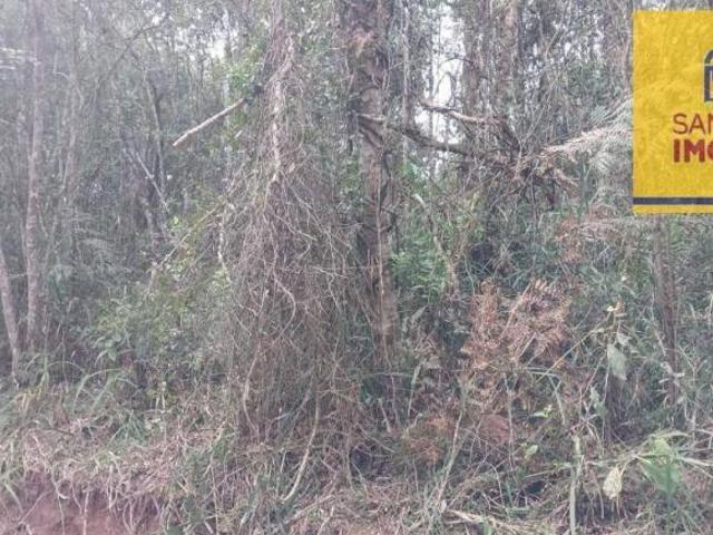 Chácara à venda, 24200 m² por R$ 295.000,00 Bateias Campo Largo/PR