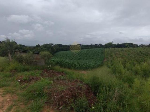 Chácara à venda, 25.110 m2, Cachoeira São José dos Pinhais PR
