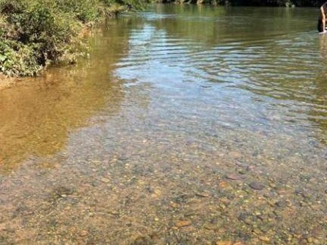 Chácara à venda, 26000 m² Zona Rural Padre Bernardo/GO