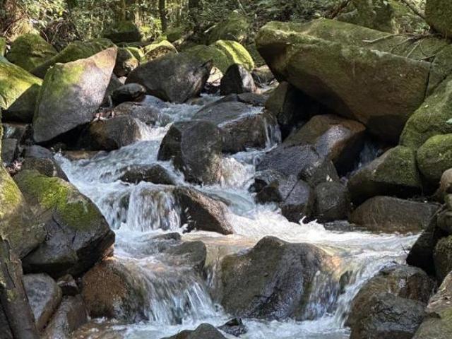 Chácara à Venda – 27.000 m² | Juruqui – Almirante Tamandaré