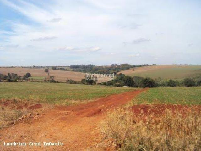 Chácara à venda 2800M², Zona Rural, Warta PR