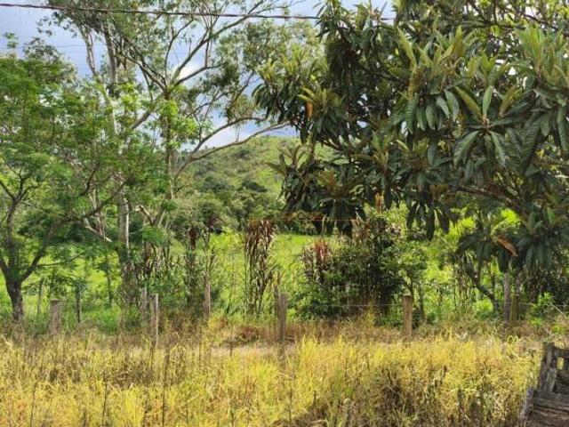 Chácara à venda, 29688 m² por R$ 600.000 Angola de Baixo Jacareí/SP