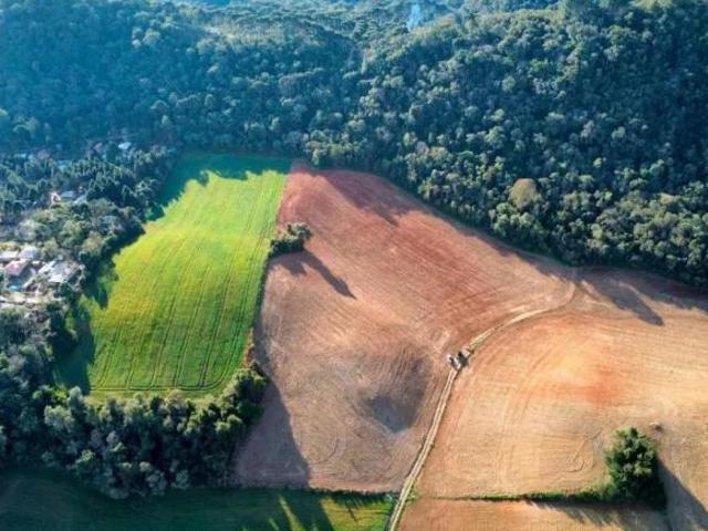 Chácara à venda 29.040 m² em Campo Magro
