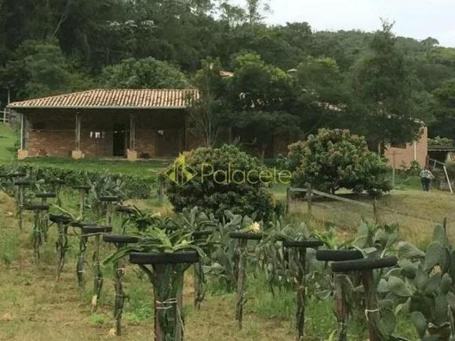 Chácara à venda 2 Quartos, 1 Suite, 2 Vagas, 336000M², Centro, Tremembé SP