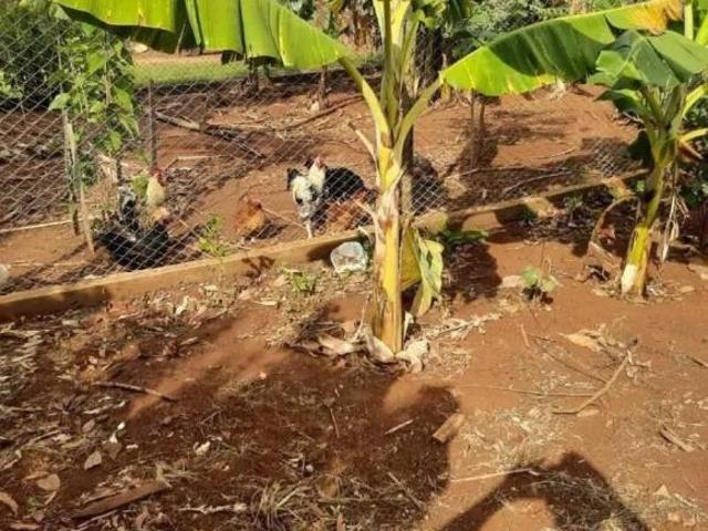 Chácara à venda, 2 quartos, 1 suíte, 4 vagas, Bairro do Pinhal Limeira/SP