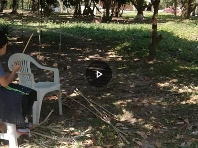 Chácara à venda 2 Quartos, 4 Vagas, 20000M², Ribeirão Grande, Pindamonhangaba SP