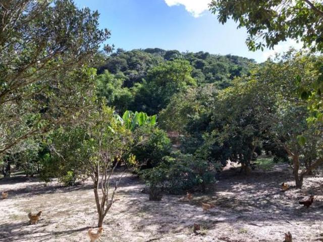 Chácara à venda 2 Quartos, 6 Vagas, 65000M², Sete Voltas, Taubaté SP