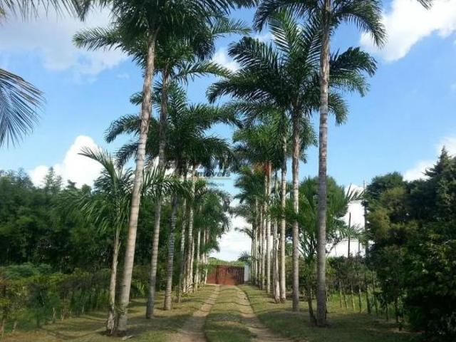 Chácara à venda, 30000 m² por R$ 12.000.000,00 Recanto Campestre Internacional de Viracopos Gleba