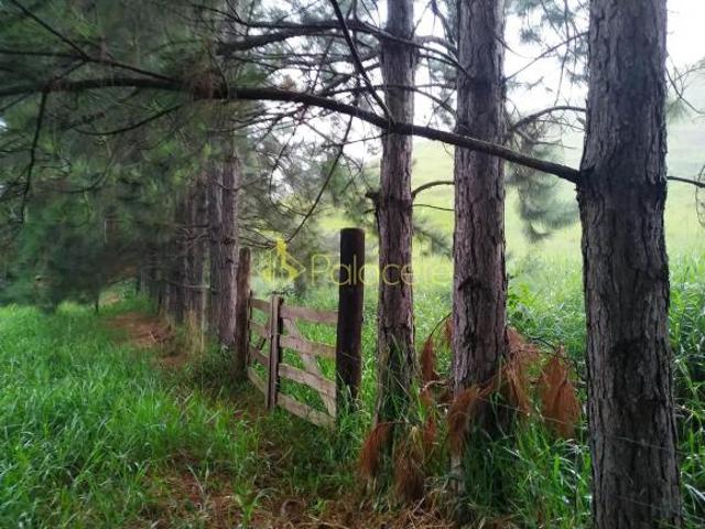 Chácara à venda 30000M², Zona Rural, Silveiras SP