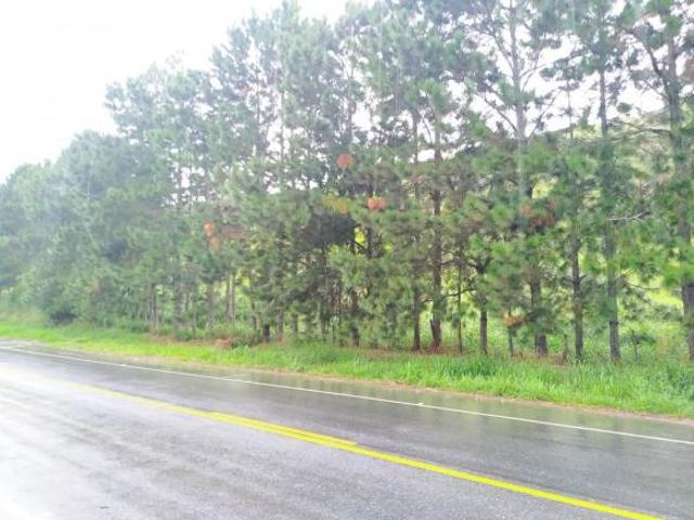 Chácara à venda 30000M², Zona Rural, Silveiras SP