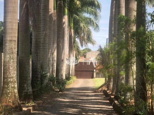 Chácara à venda, 3000 m² por R$ 2.200.000,00 Zona Rural Jataizinho/PR