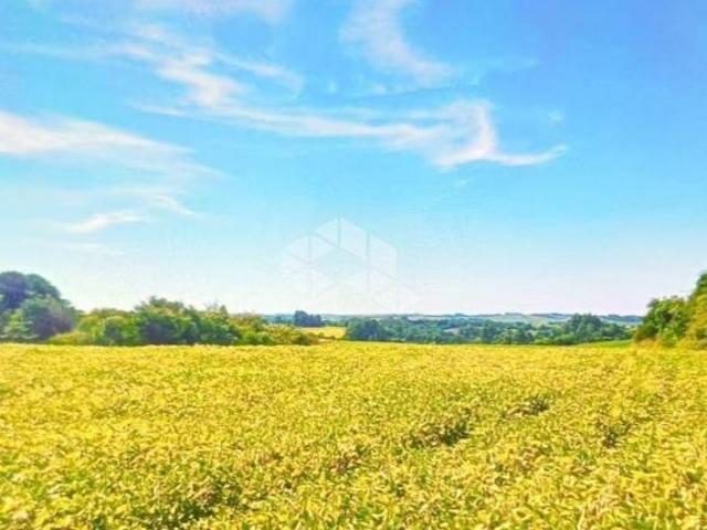 Chacara a Venda, 30 Hectares, Pains, Santa Maria