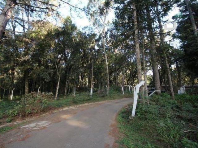 Chácara à venda, 3300 m² por R$ 750.000,00 Campininha Quatro Barras/PR
