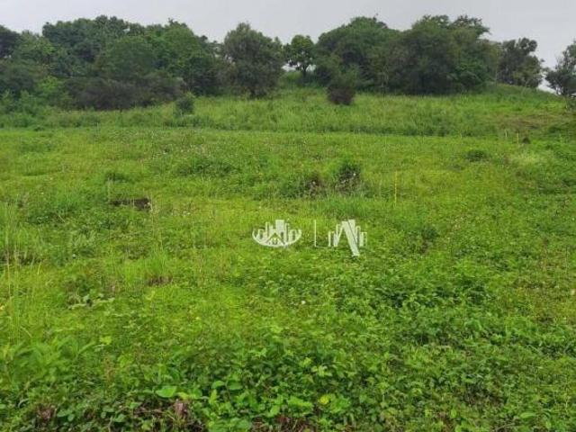 Chácara à venda, 40850 m² por R$ 500.000,00 Coroados Londrina/PR