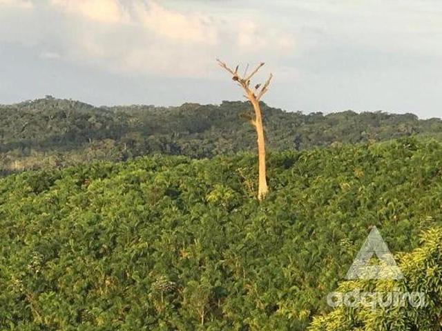 Chácara à venda 444000M², Zona Rural, Iguape SP
