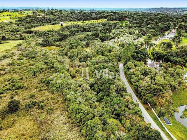 Chácara com 5 dormitórios à venda, 46000 m² por R$ 1.490.000,00 Colônia Santa Maria Piraquara/PR