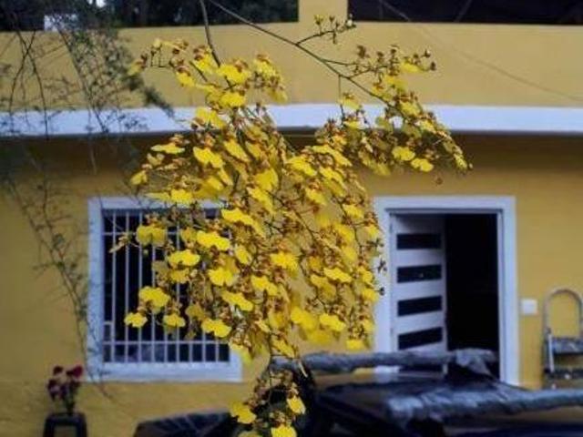 Chácara à venda, 5330 m² por R$ 950.000,00 Água Azul Guarulhos/SP