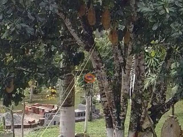 Chácara à venda, 6000 m² por R$ 900.000,00 Taiacupeba Mogi das Cruzes/SP