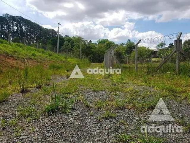 Chácara à venda 6750M², Periquitos, Ponta Grossa PR