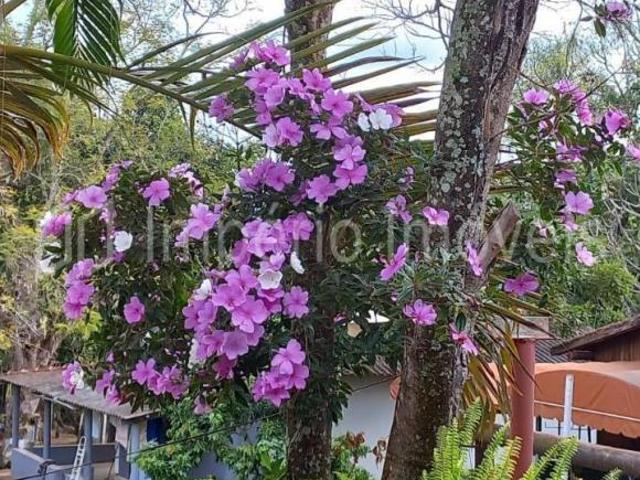 Chacara a venda, 7000 m2, 9 dormitorios, Piscina, Quiosque para churrasco, Lago de Pesca, Capela, La