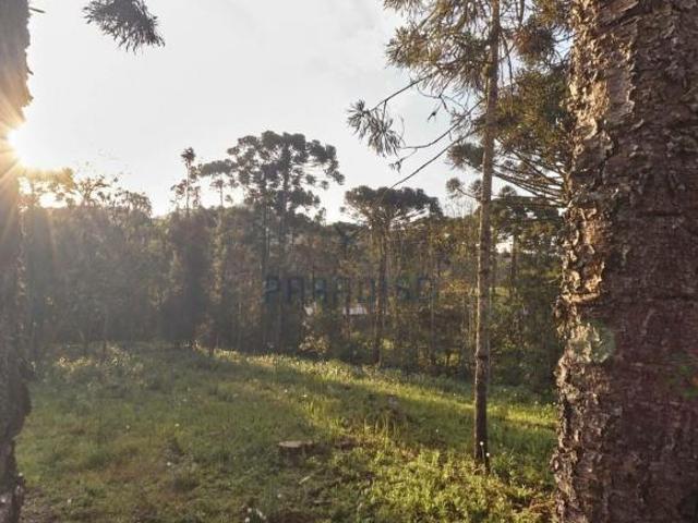 Chácara à venda, 7000 m² por R$ 280.000,00 Bateias Campo Largo/PR