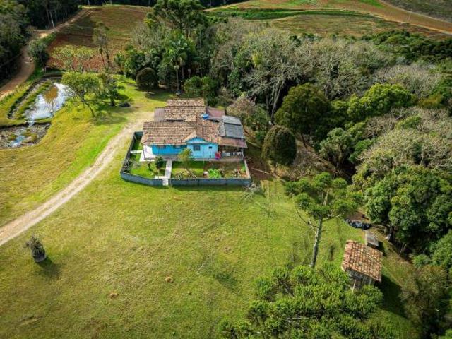 Chácara à venda, 72.600 m2, Roça Velha, SÃO JOSÉ DOS PINHAIS PR