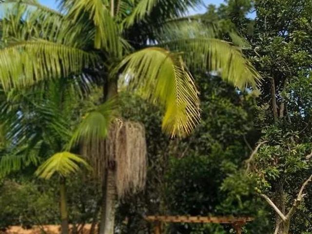 CHACARA A VENDA