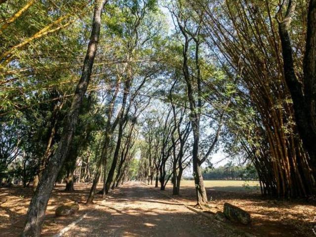 Chácara à venda, 8 quartos, 4 suítes, 10 vagas, Área Rural de Rio das Pedras Rio das Pedras/SP