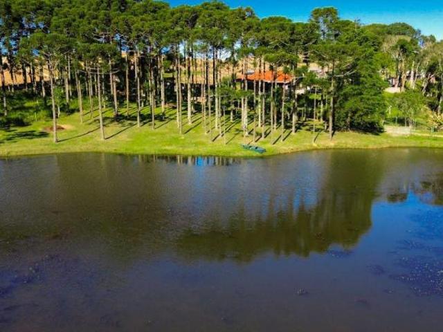 Chácara à Venda em São José dos Pinhais