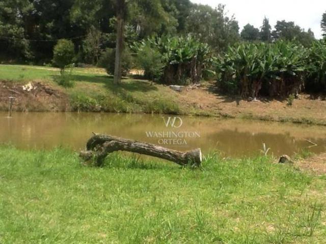Chácara à venda, 9408 m² por R$ 699.000,00 Campina Do Taquaral São José dos Pinhais/PR