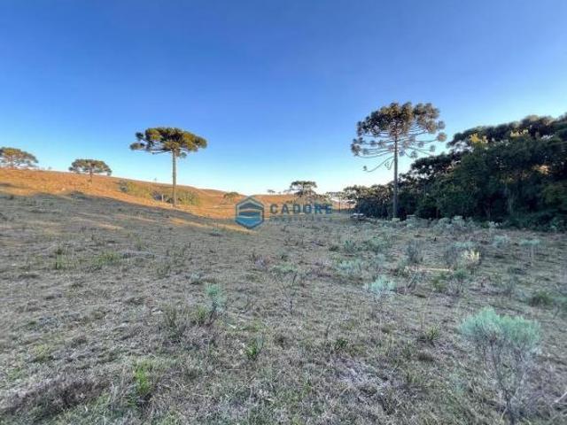 Chácara a venda com área de 7.8 hectares Vila Seca