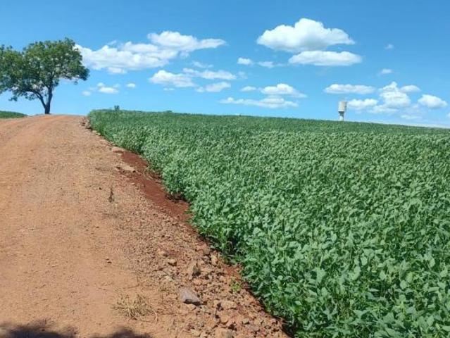 Chácara à venda com rio nos fundos