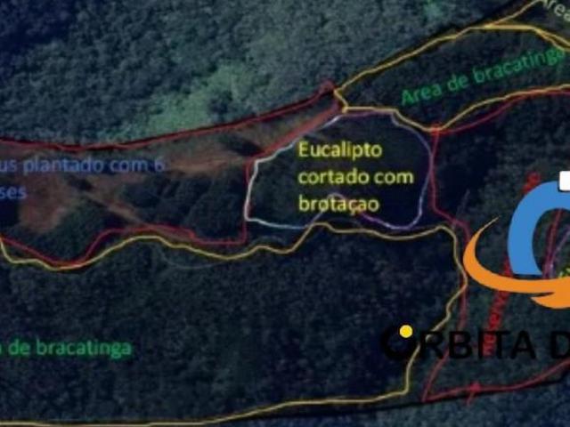 Chácara à Venda com 17 Alqueires com Rebrota de Pinus e Eucalipto, Próximo a Campo Largo/PR