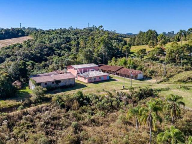 Chácara à venda com 199.000m² na Colônia Mergulhão em Sâo José dos Pinhais