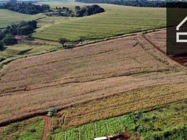 Chácara à venda, com 1,2 Alqueires, São Salvador Cascavel/PR
