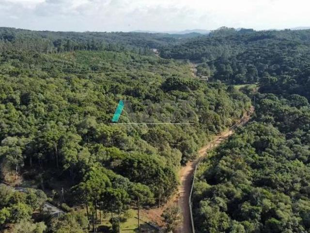 CHÁCARA A VENDA COM 24.700M² LOCALIZADA EM BOCAIUVA DO SUL POR R$ 265.000,00