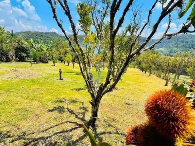 Chácara à venda com 2.273m² em Biritiba Mirim em São Paulo