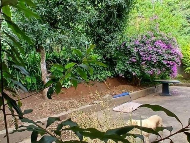 Chácara à Venda com 2 Lotes e 2 Casas Próximo ao Restaurante DIB e Fernão Dias