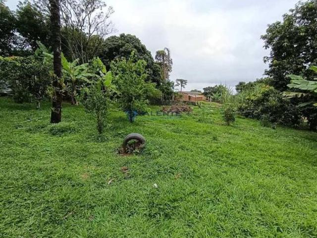 Chácara à venda, com 2 mil m², mais casa, área rural de Artur Nugeira, ao lado de Holambra SP