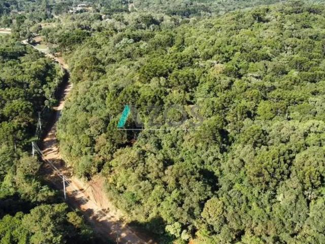 CHÁCARA A VENDA COM 50.997M² LOCALIZADA EM BOCAIUVA DO SUL POR R$ 520.000,00
