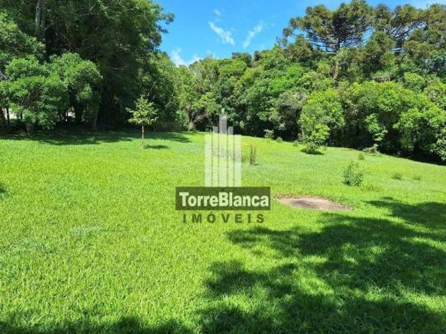 Chácara à Venda com 5.696 m² no Periquitos