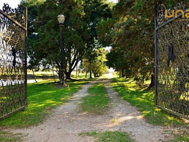 Chácara à Venda com 60.000 m² em Guarituba Piraquara/PR