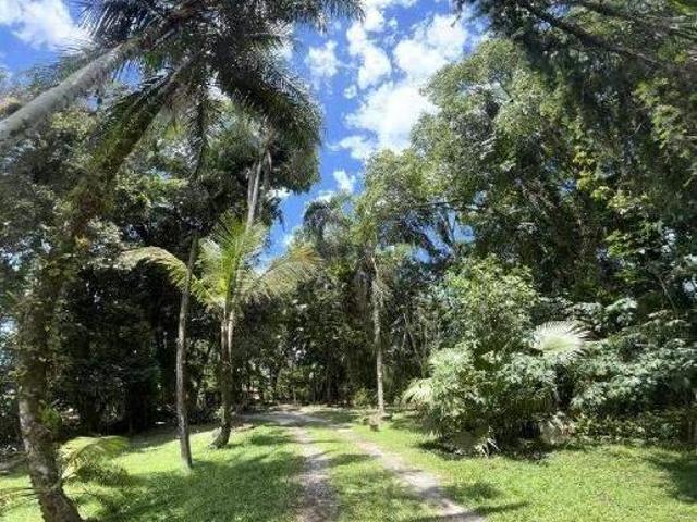 Chácara à venda com 7 quartos no bairro Jardim Coronel